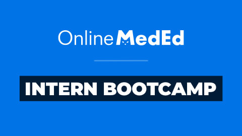 Intern Bootcamp